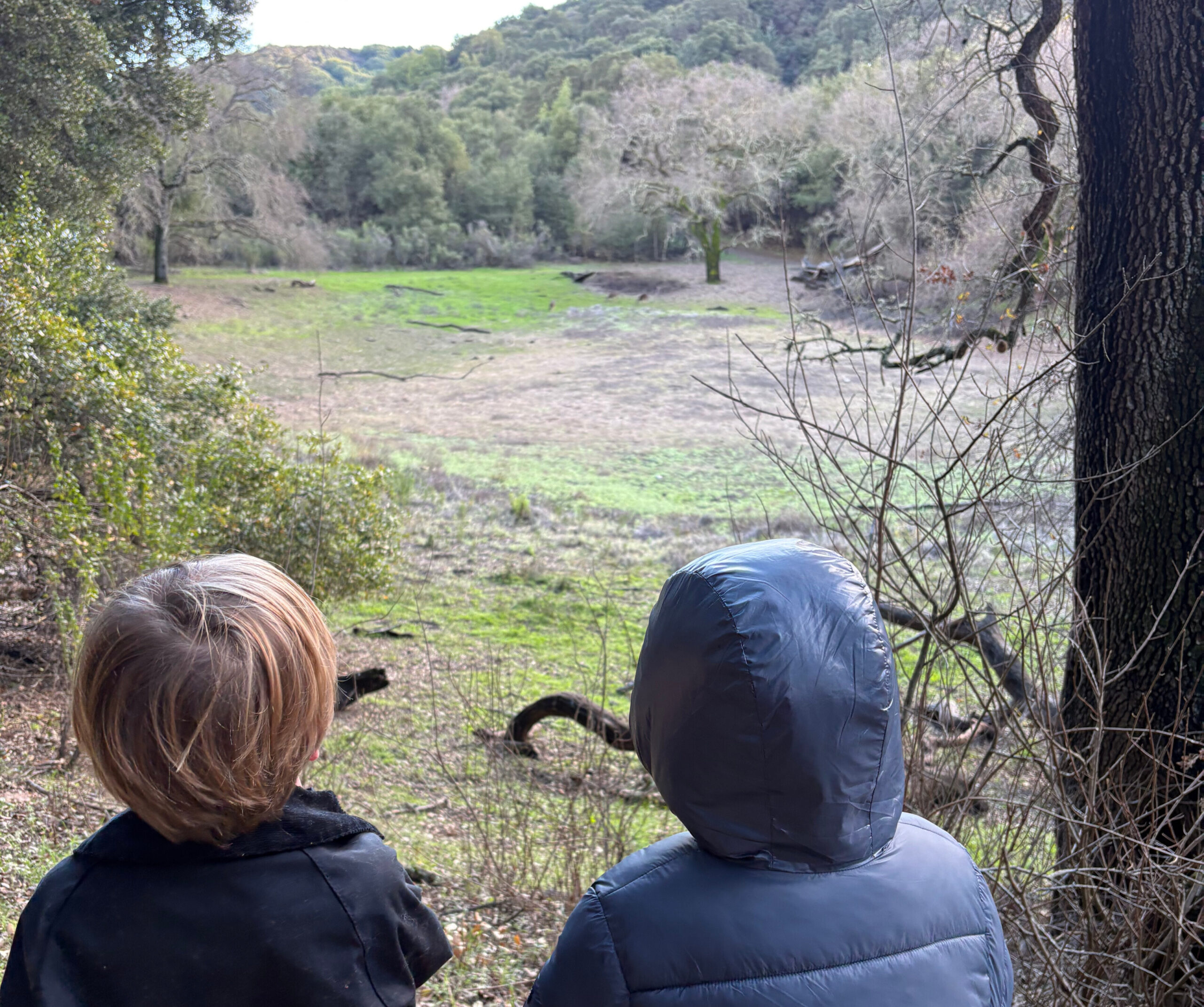 Nature-Based Therapy for Kids: What Happens in Our Therapeutic Groups ...